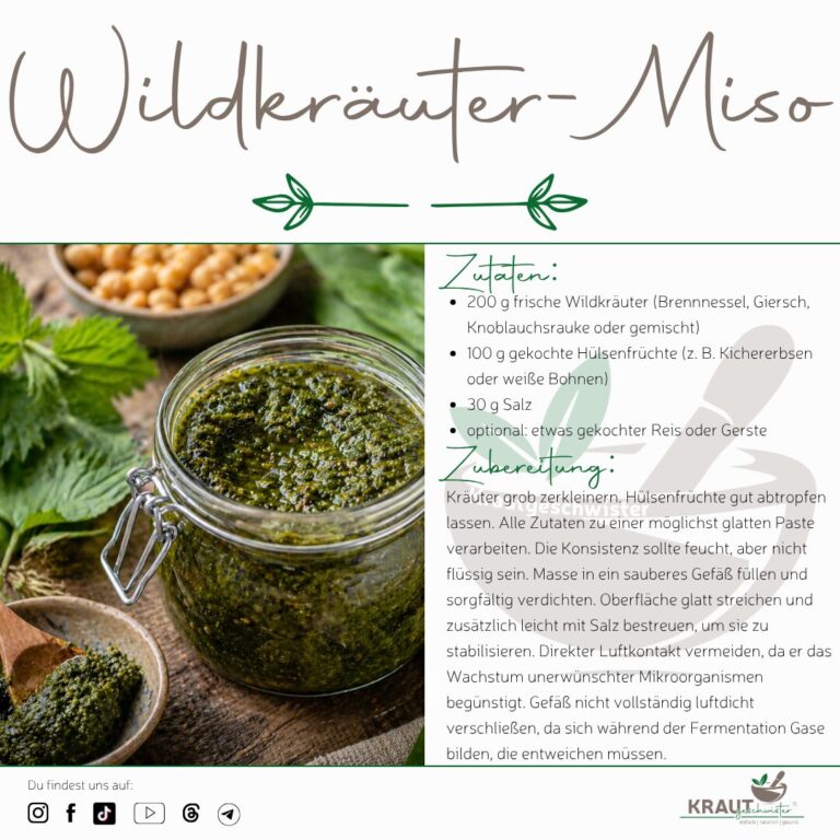 Wildkräuter-Miso
